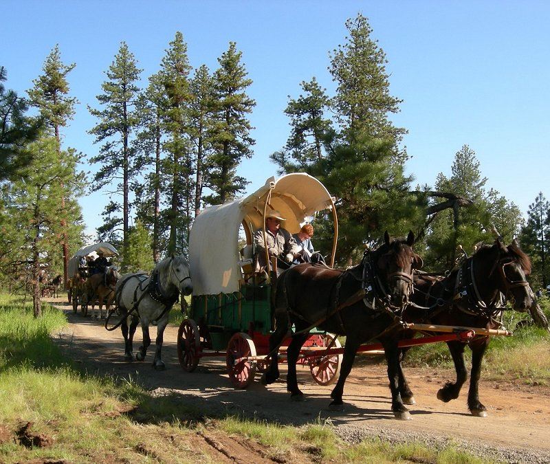 Wagon Train