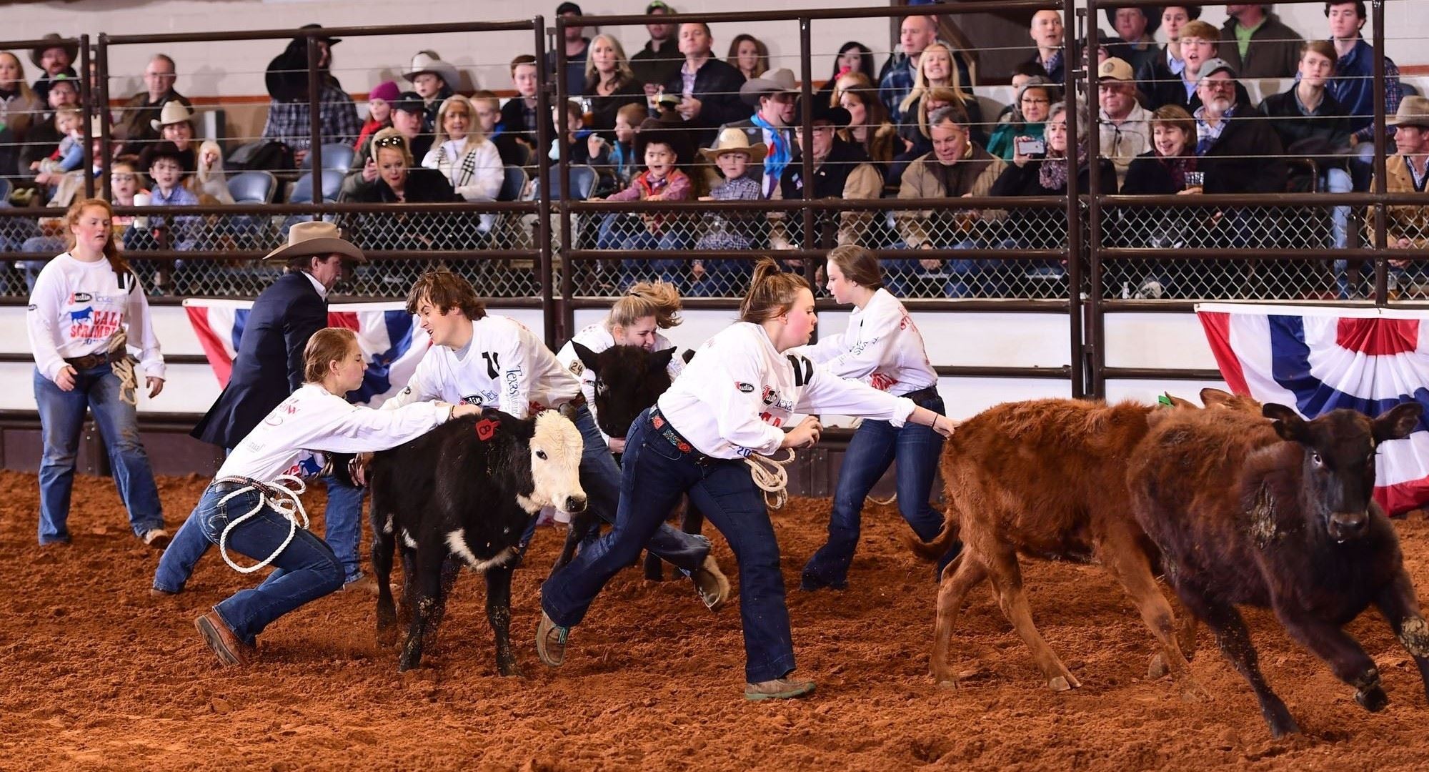 Calf Scramble
