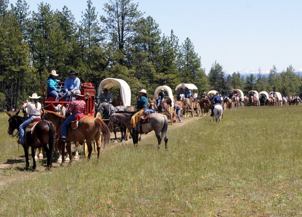 Wagon Train