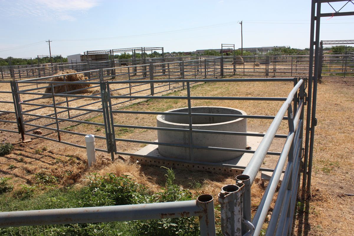 Outdoor Roping Arena