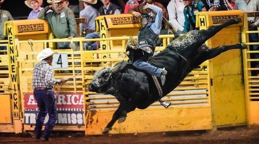 Stock Contractor Calgary Stampede