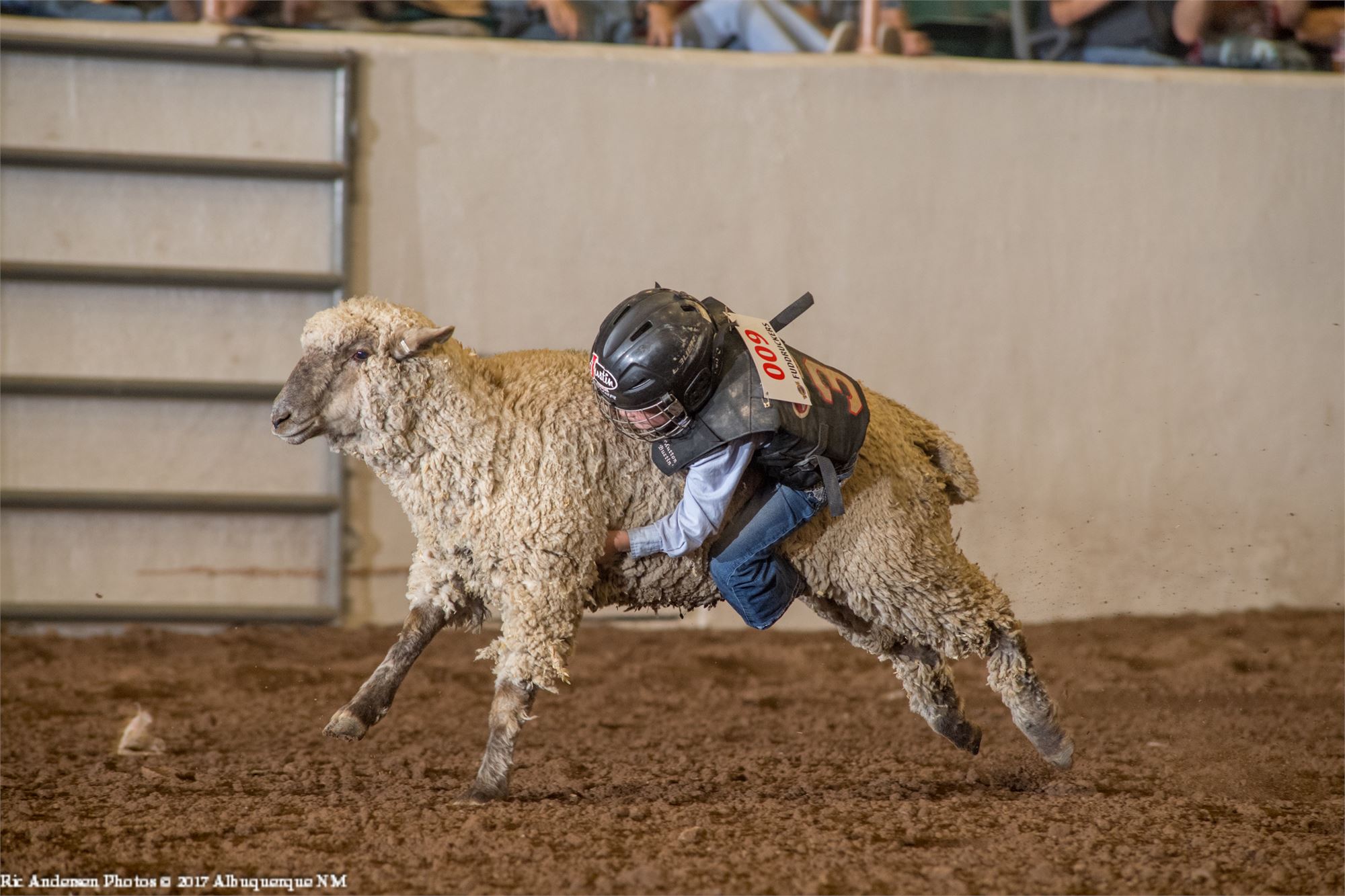 Mutton Bustin'