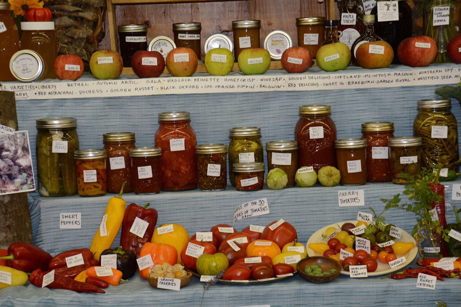 Agricultural Exhibition Center