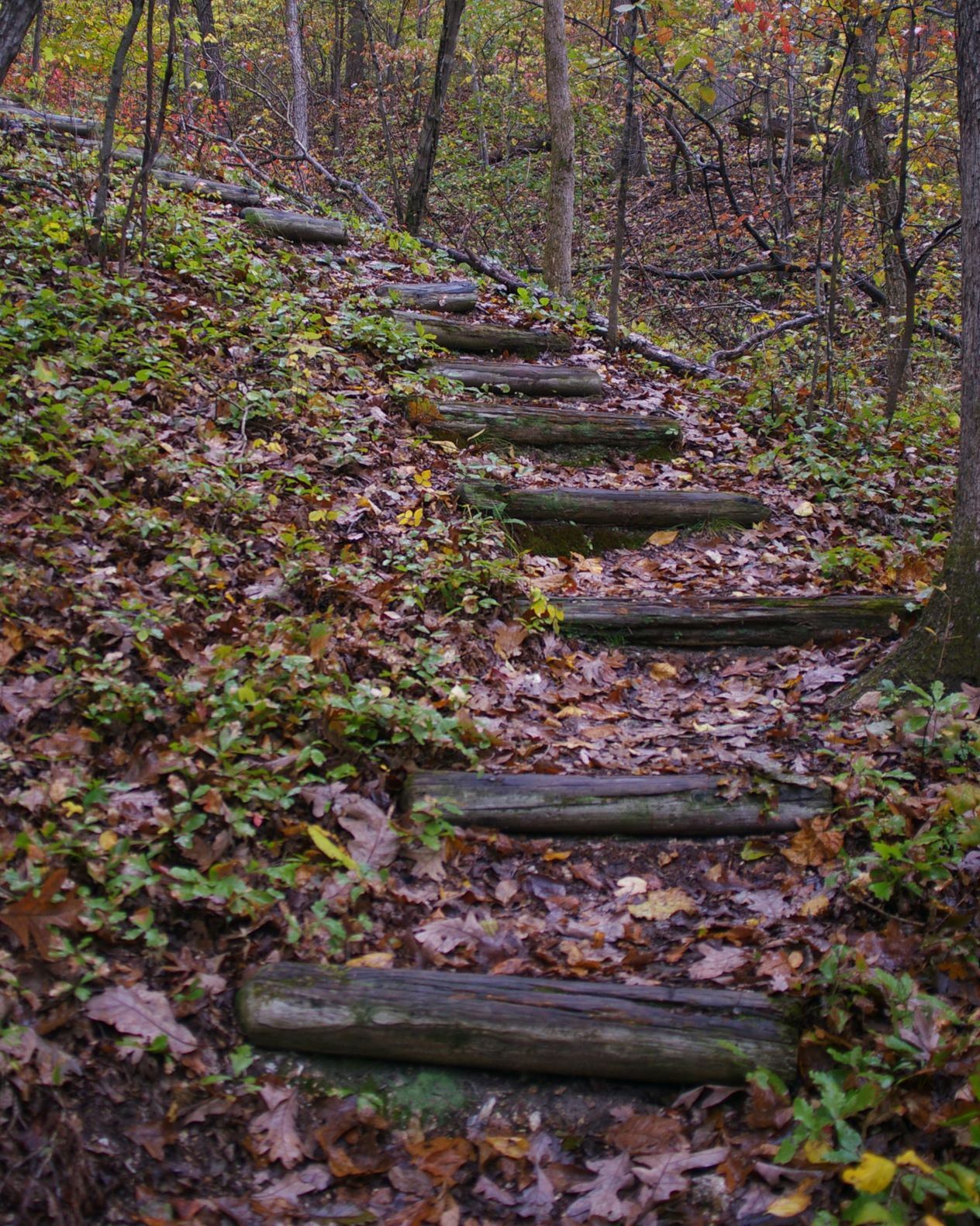 Bennett Spring State Park