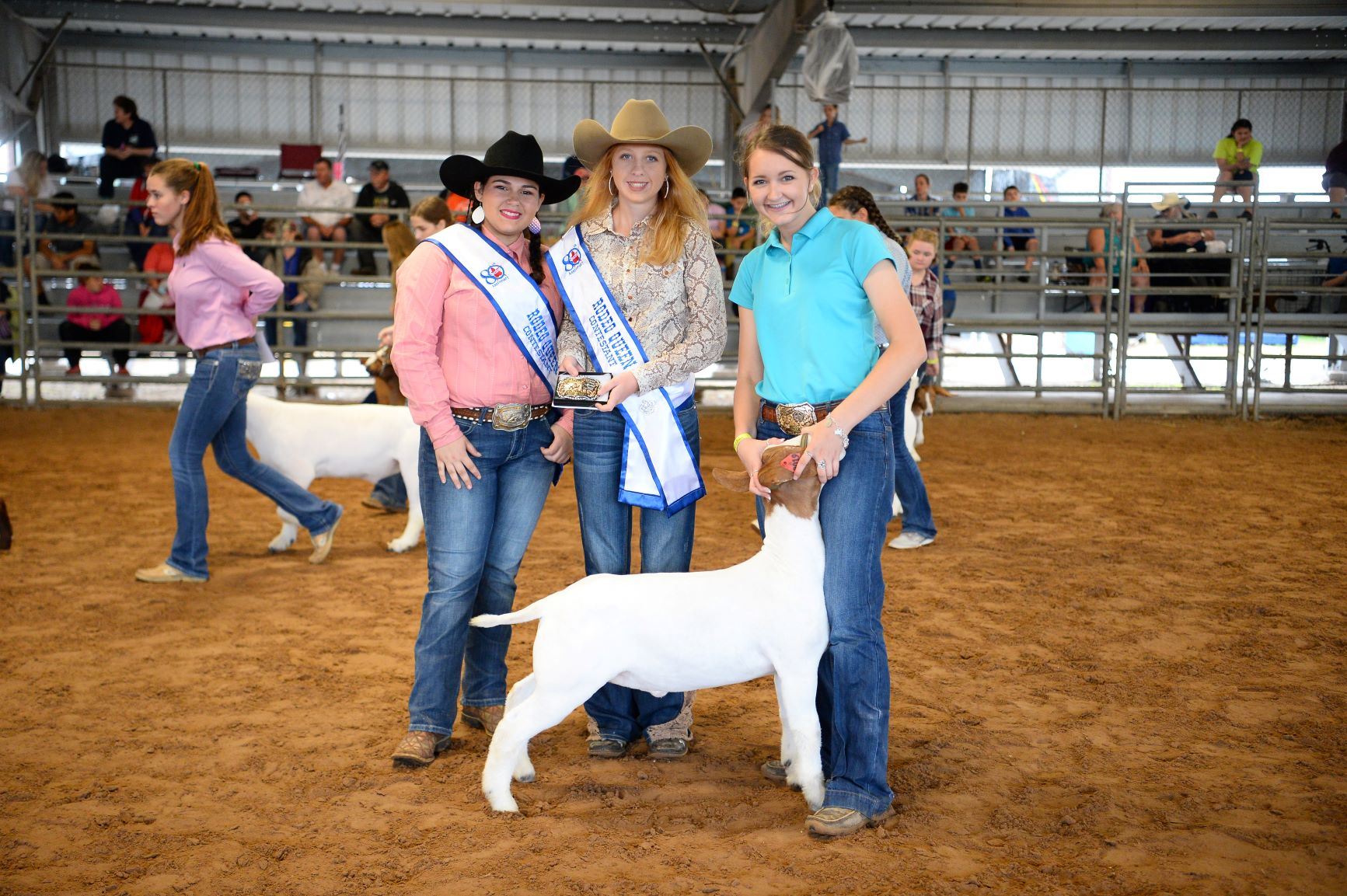 Junior Market Goat Show